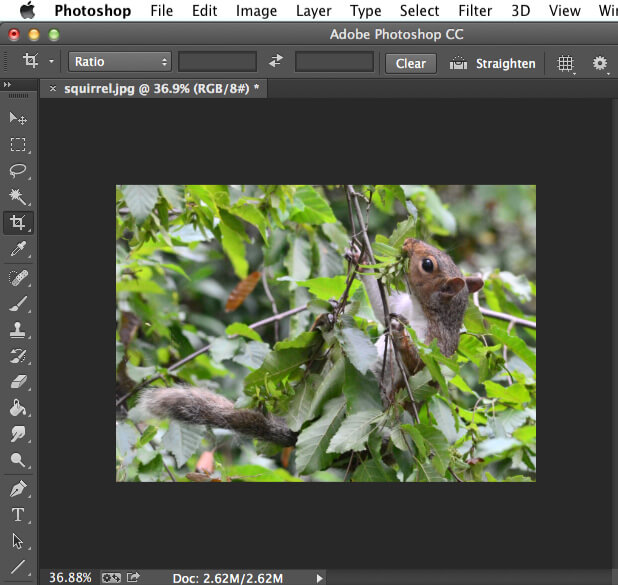 Photoshop Adobe τα 6 Βασικά βήματα | XNWeb